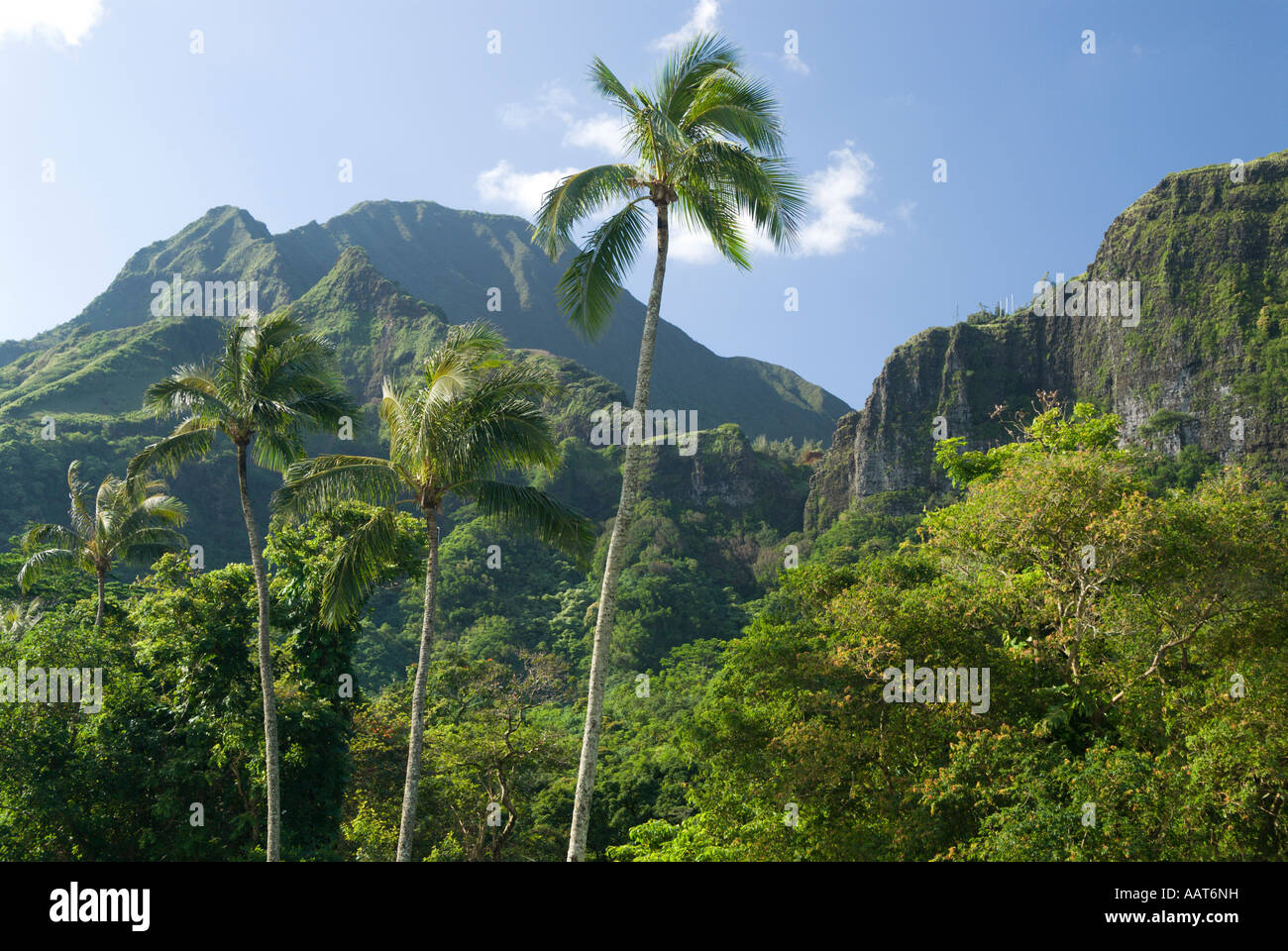 Koolau Mountains, Oahu, Hawaii Stock Photo - Alamy