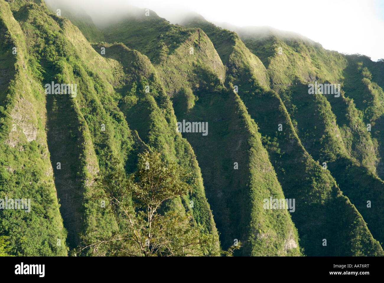 Koolau Mountains, Oahu, Hawaii Stock Photo - Alamy
