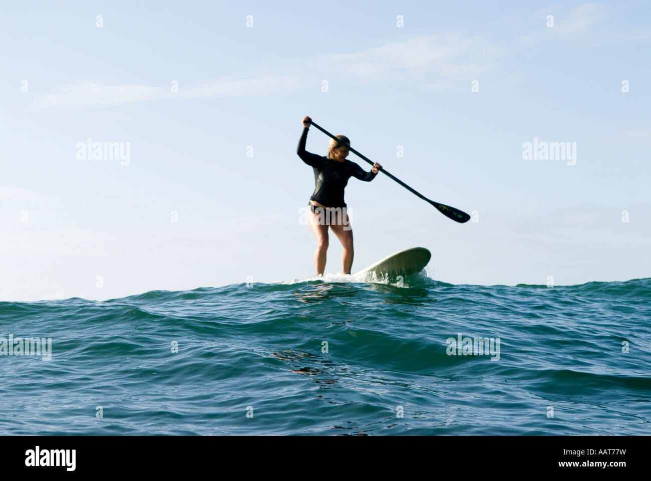 Stand Up Paddle Surfing, aka , Stand Up Paddle Boarding, Hawaii Stock ...