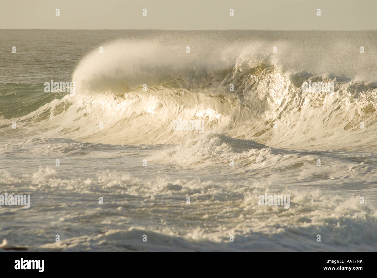 Waves Snapper Rocks Queensland Australia Stock Photo - Alamy