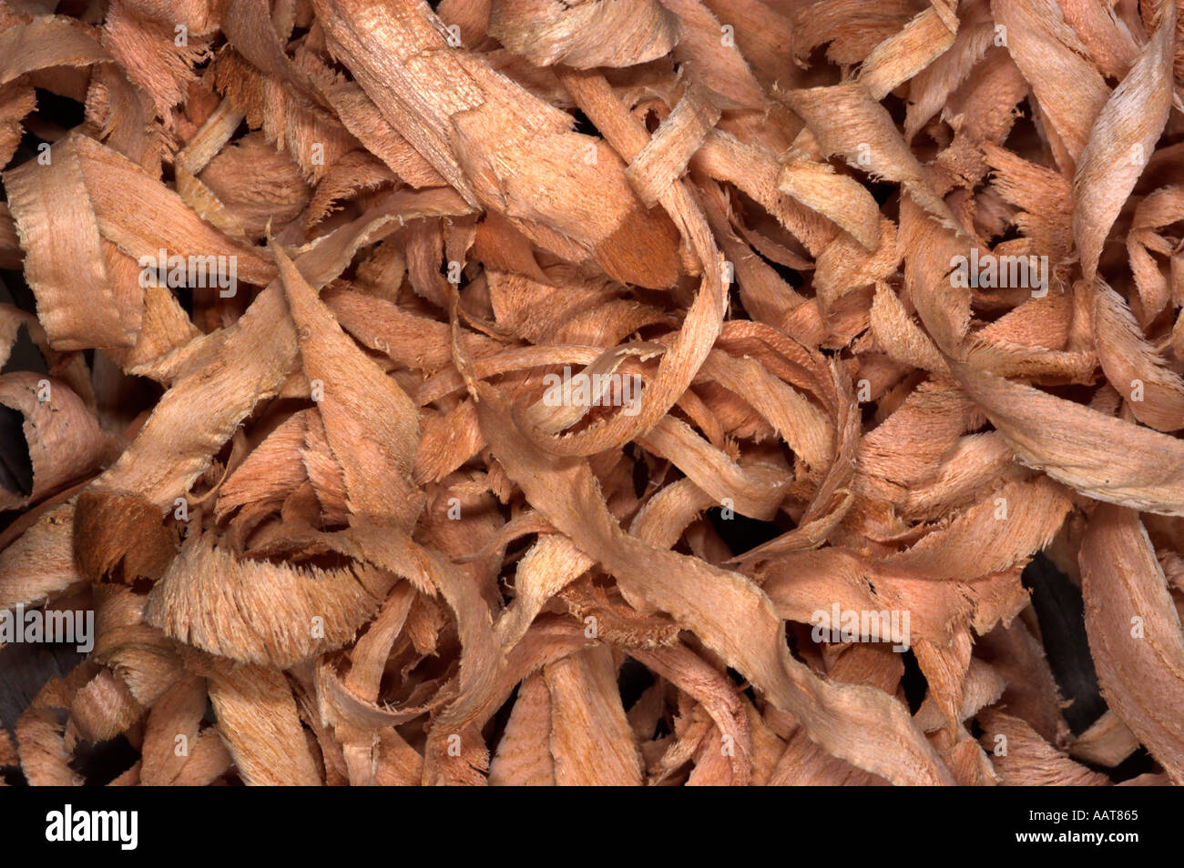 Mulberry wood hi-res stock photography and images - Alamy
