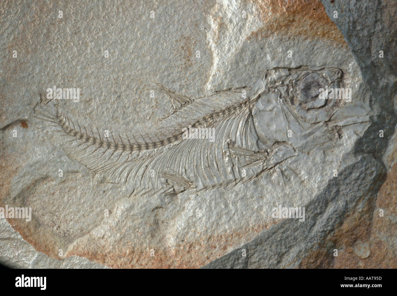 Ancient river deposit hi-res stock photography and images - Alamy