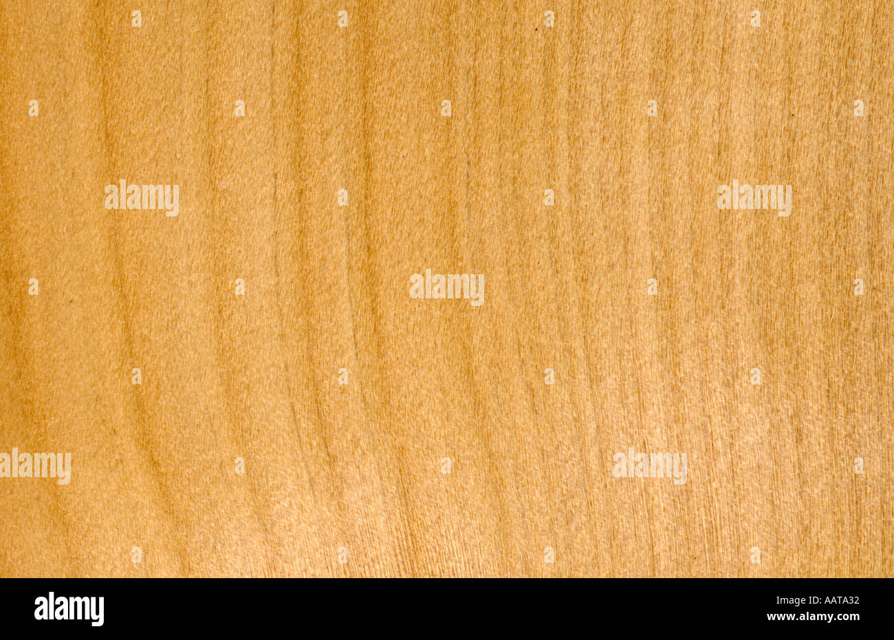 Bald cypress wood Faux satine grain Taxodium distichum USA Stock Photo ...