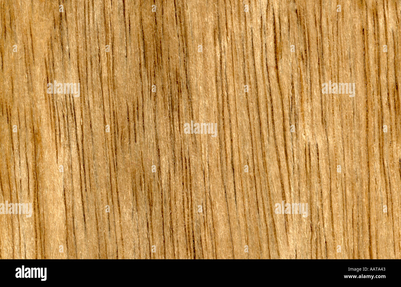 Limba wood grain Terminalia superba Africa Stock Photo - Alamy