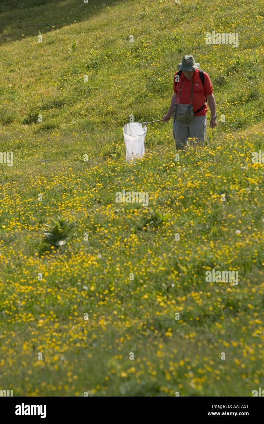 Collecting insects net hi-res stock photography and images - Alamy