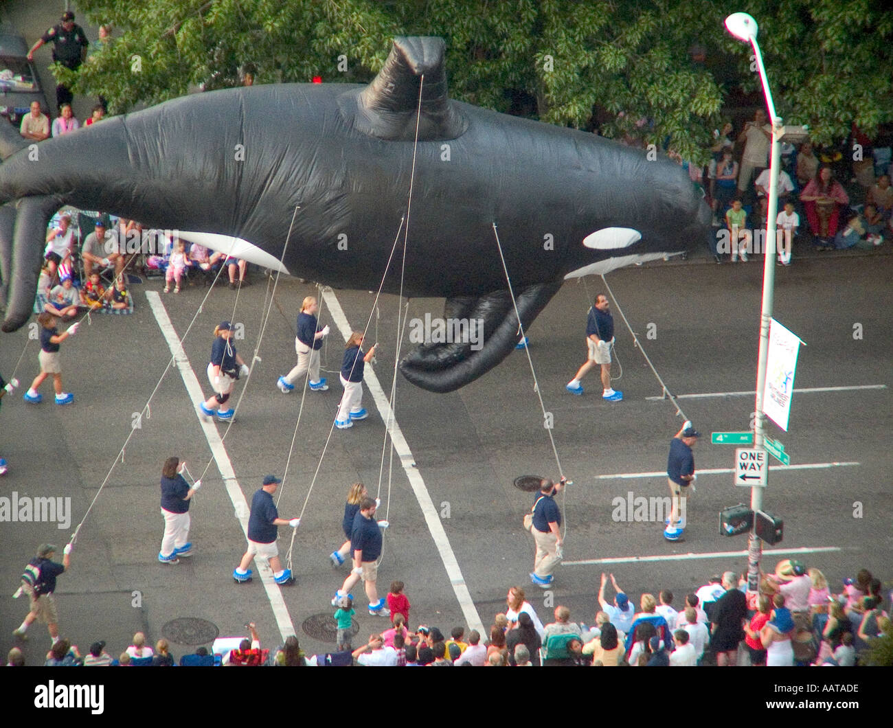 Whale watching festival hi-res stock photography and images - Alamy