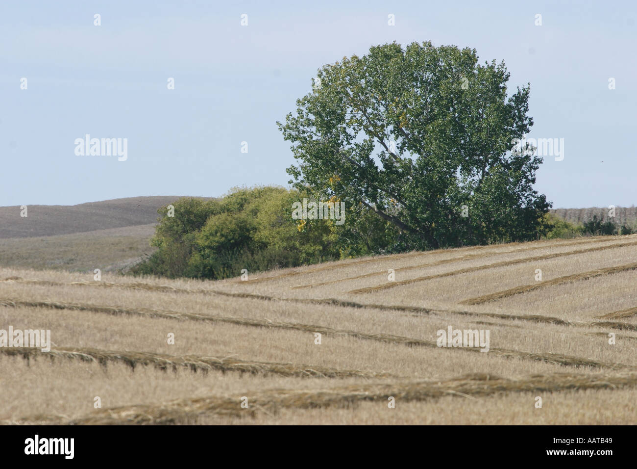 Swathes of colour hi-res stock photography and images - Alamy