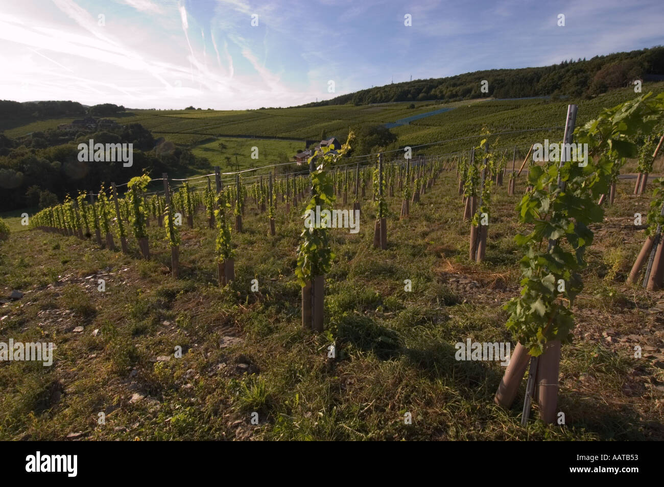 Rhine region hi-res stock photography and images - Alamy