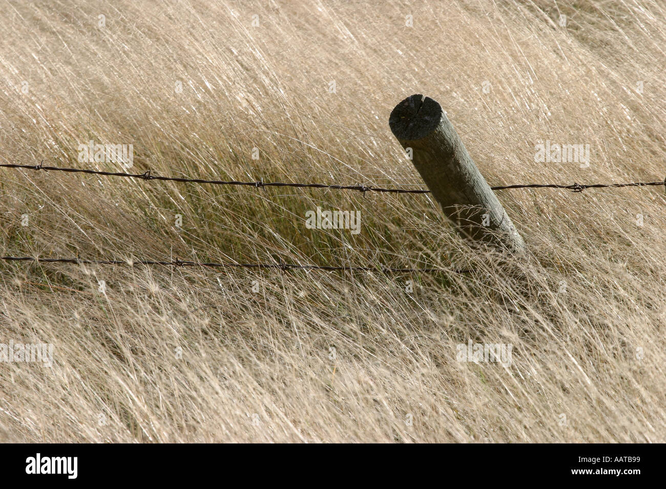 Old leaning fence post hi-res stock photography and images - Alamy