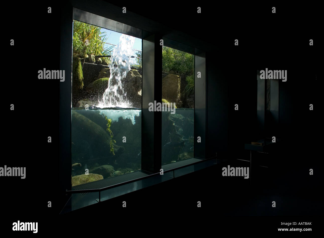 Large aquarium tank filling with water Stock Photo - Alamy