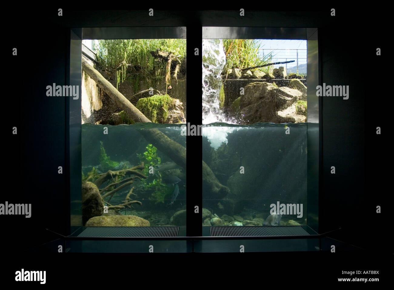 Large aquarium tank filling with water Stock Photo - Alamy