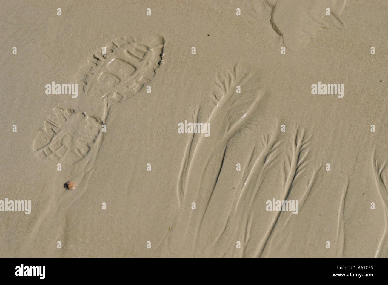 Patterns and footprint in the sand Stock Photo - Alamy