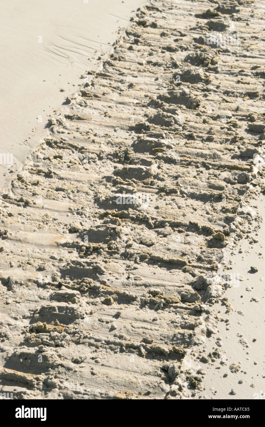 tracks in the sand Stock Photo - Alamy