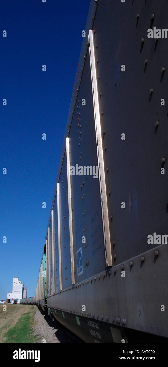 Grain cars lined up at Eyebrow elevator in scenic Saskatchewan Canada ...