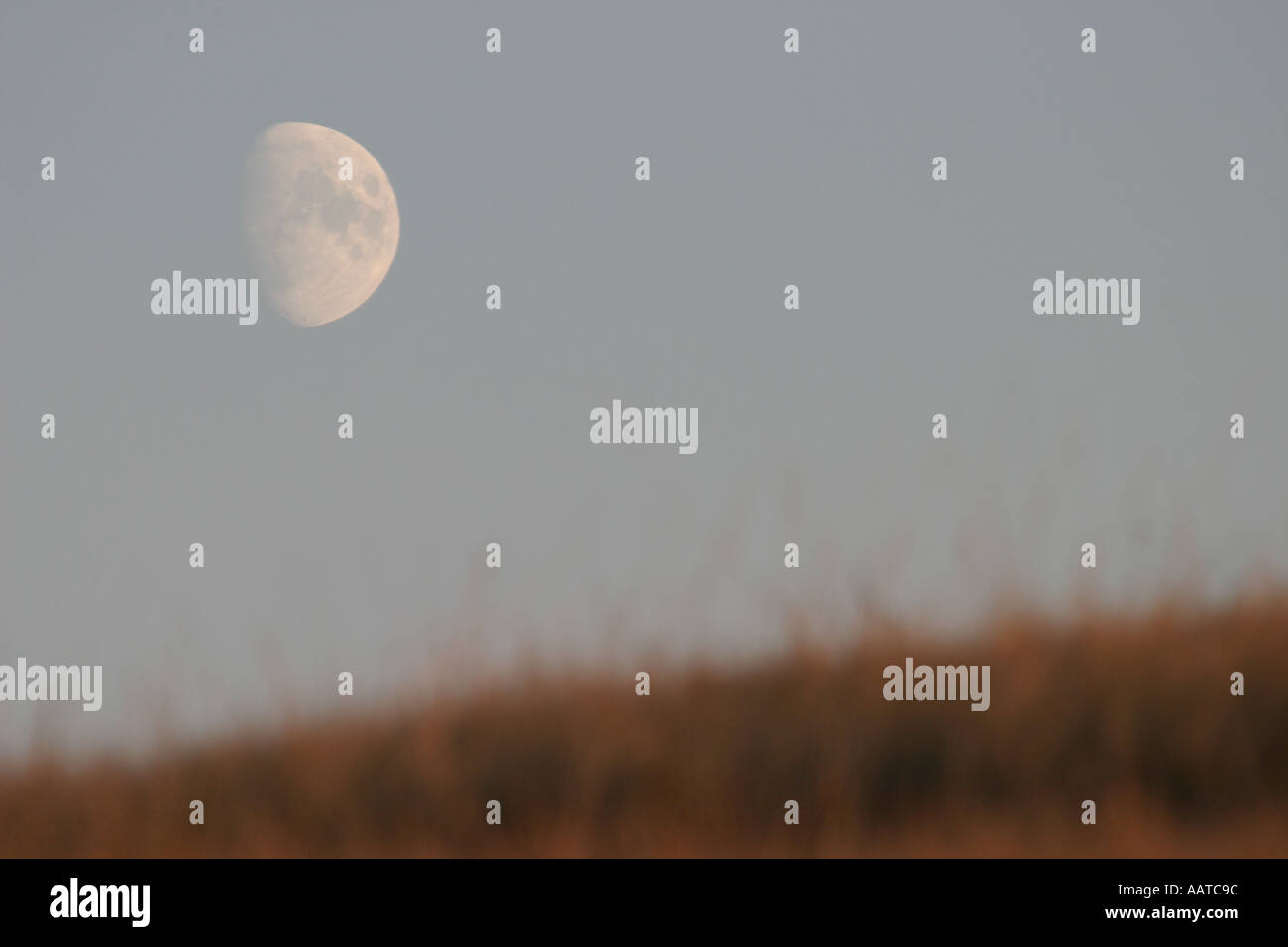 Half spheres hi-res stock photography and images - Alamy
