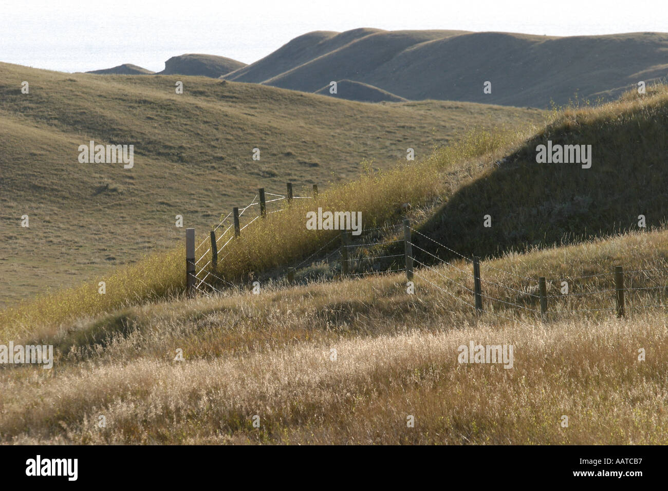 Hilly farm land in scenic Saskatchewan Canada Stock Photo - Alamy