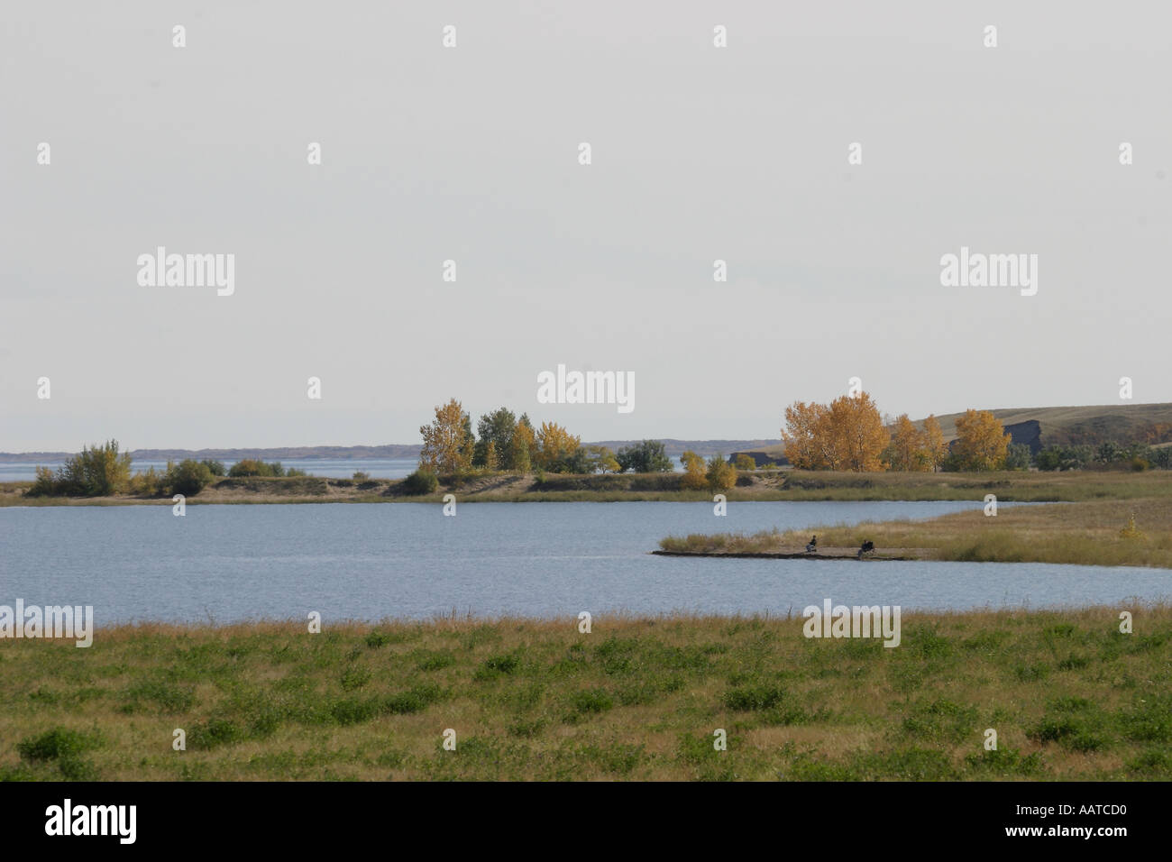 Saskatchewan prairie grass in autumn hi-res stock photography and ...