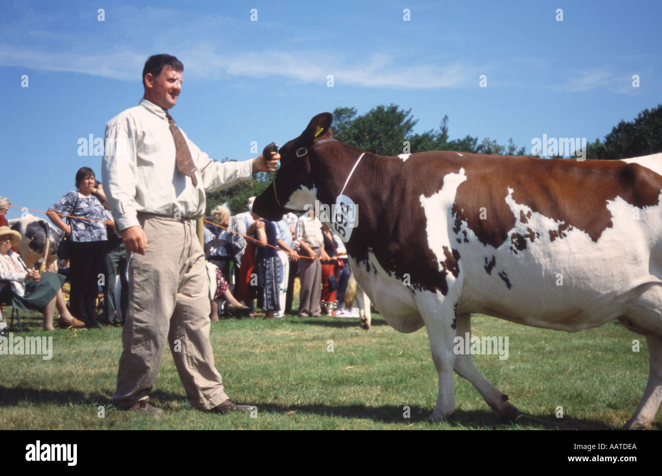 Prize cow hi-res stock photography and images - Alamy