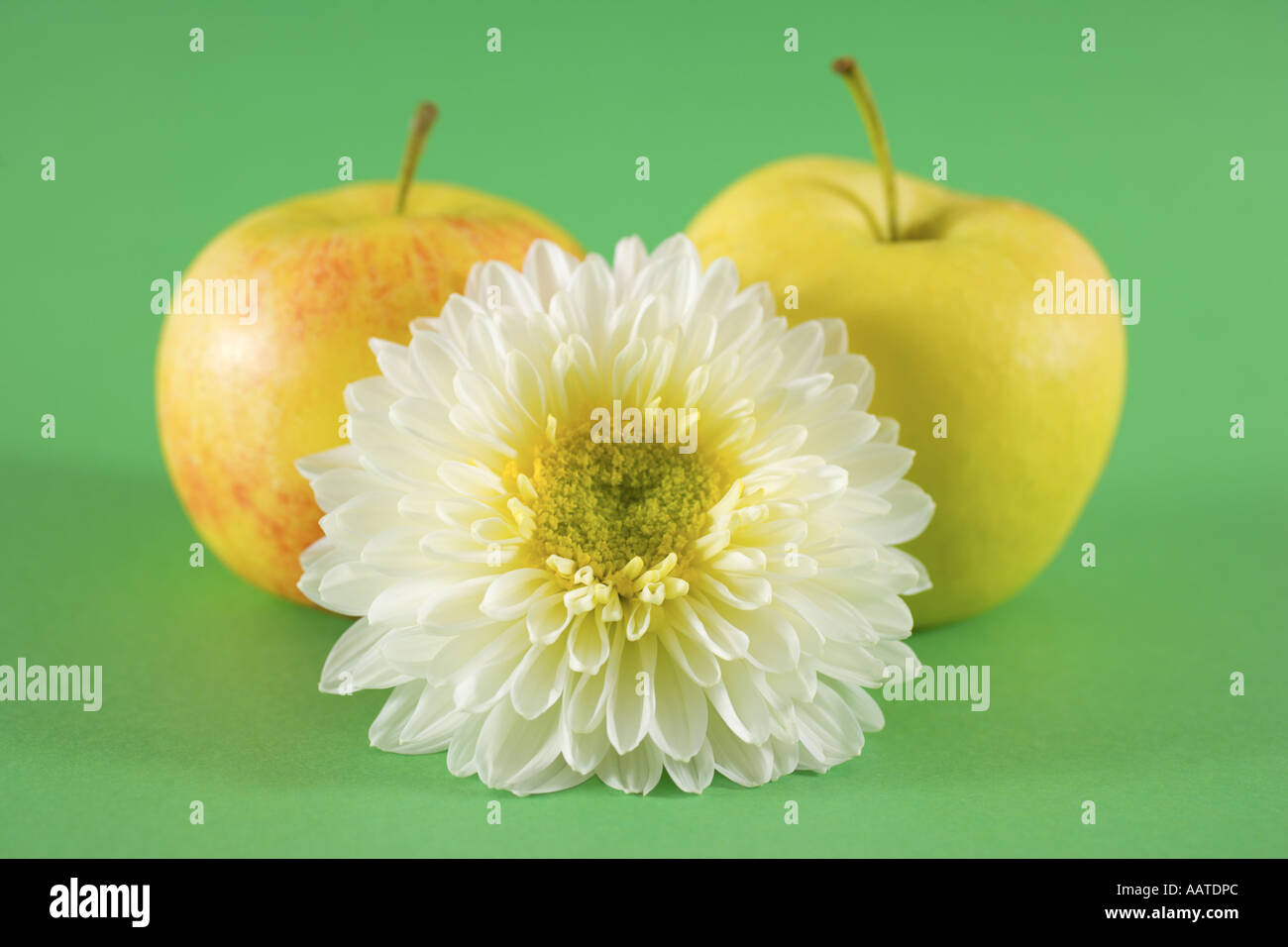Two apples and a flower Stock Photo - Alamy