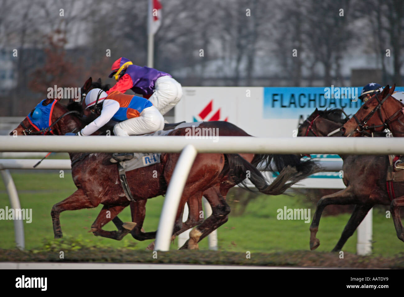 Horse contests hi-res stock photography and images - Alamy