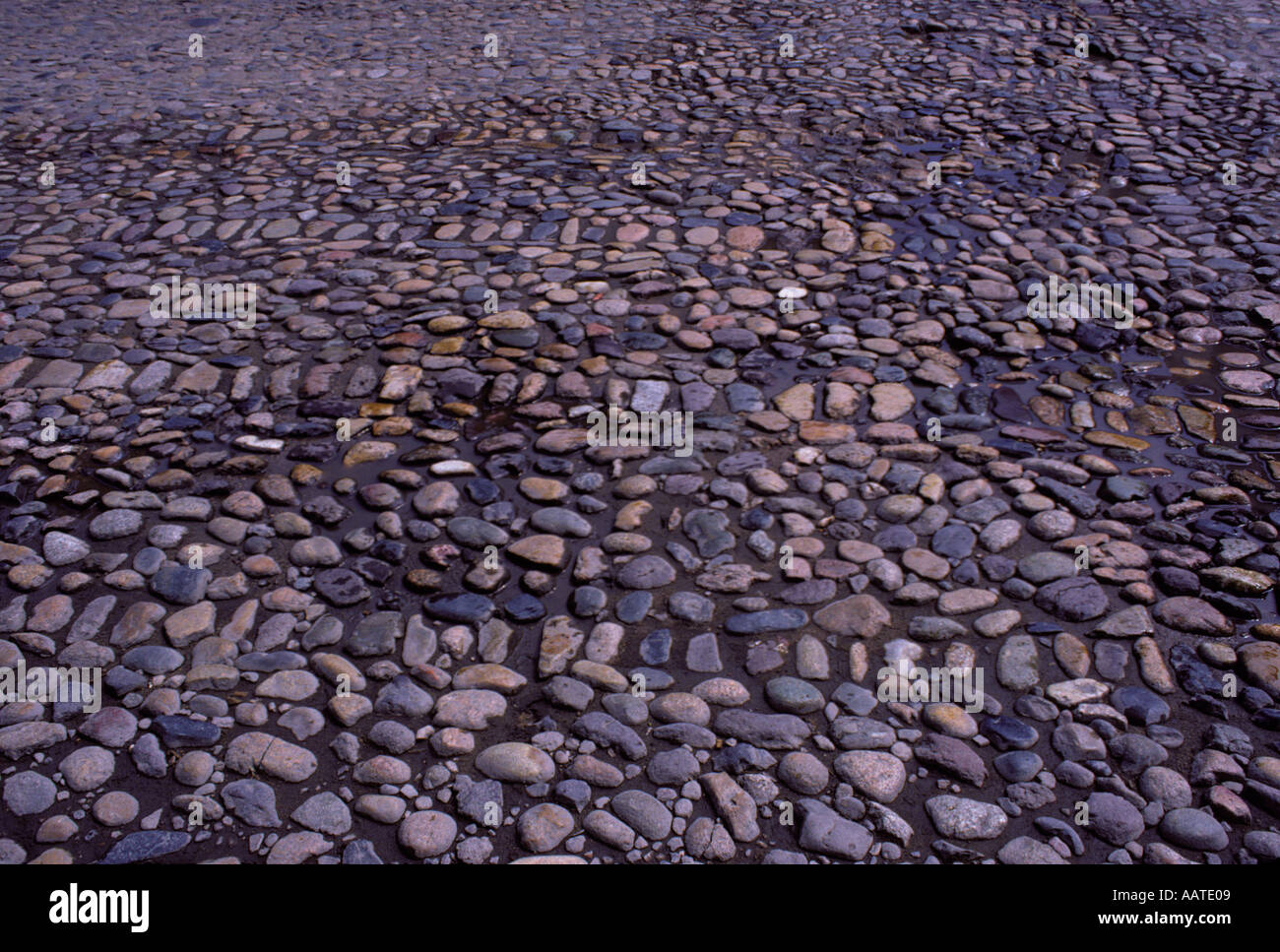 Old cobblestones on a cobblestone road close up on roadway Stock Photo ...