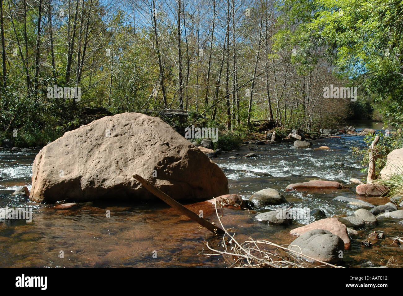 Small fallen tree laying across large boulder in water Stock Photo - Alamy
