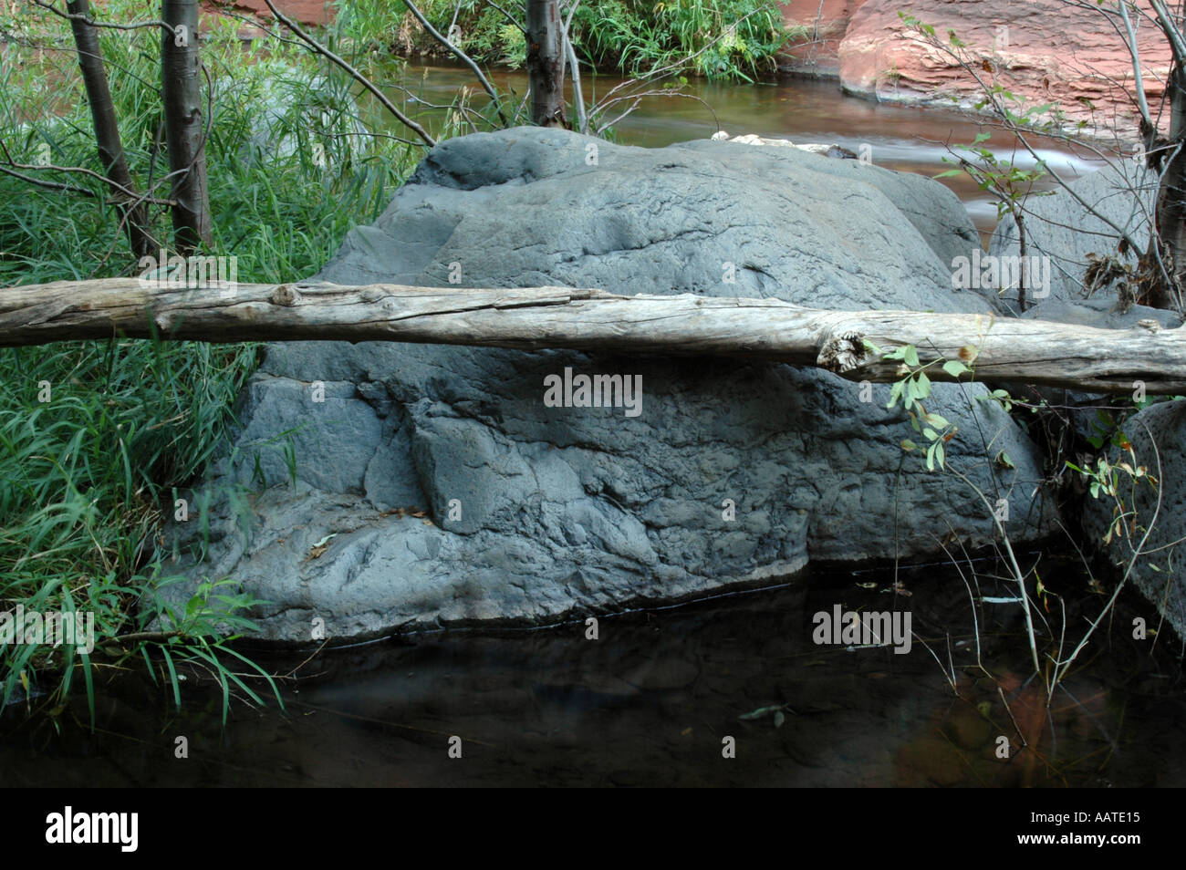 Small fallen tree laying across large boulder in water Stock Photo - Alamy