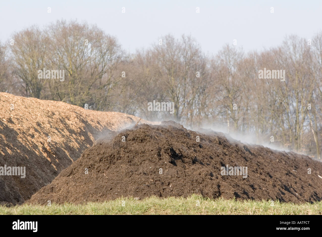 Recycling waste in Netherlands Europe Stock Photo - Alamy