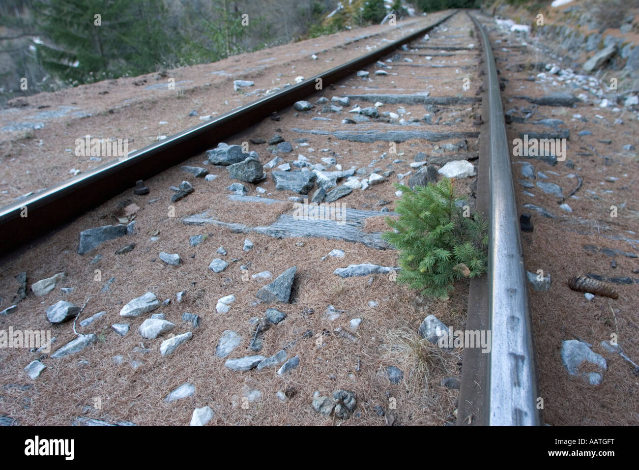 Rail tracks to marble mine, Laas, Alto Adige, Italy Stock Photo - Alamy