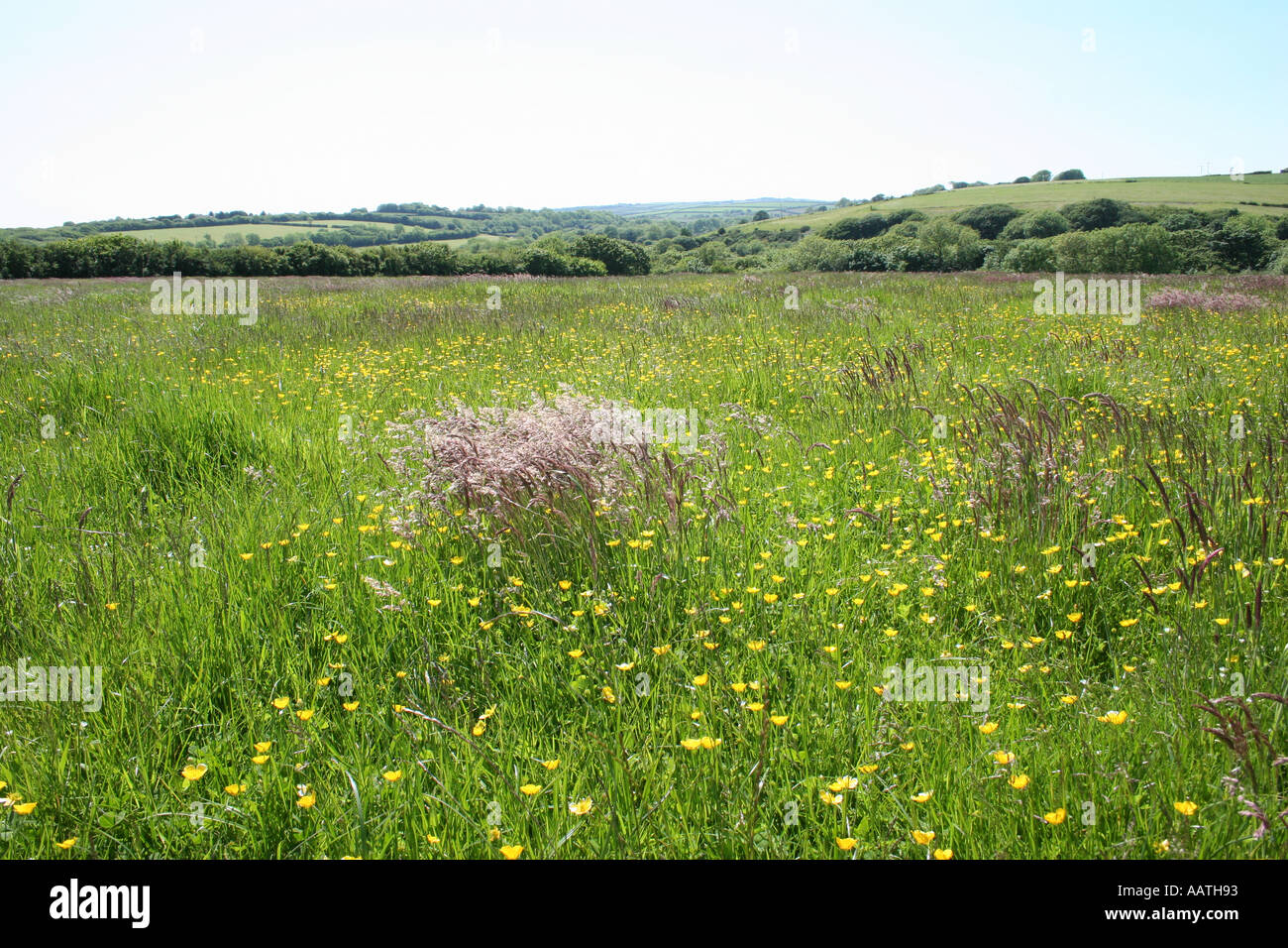 Ready for haymaking hi-res stock photography and images - Alamy