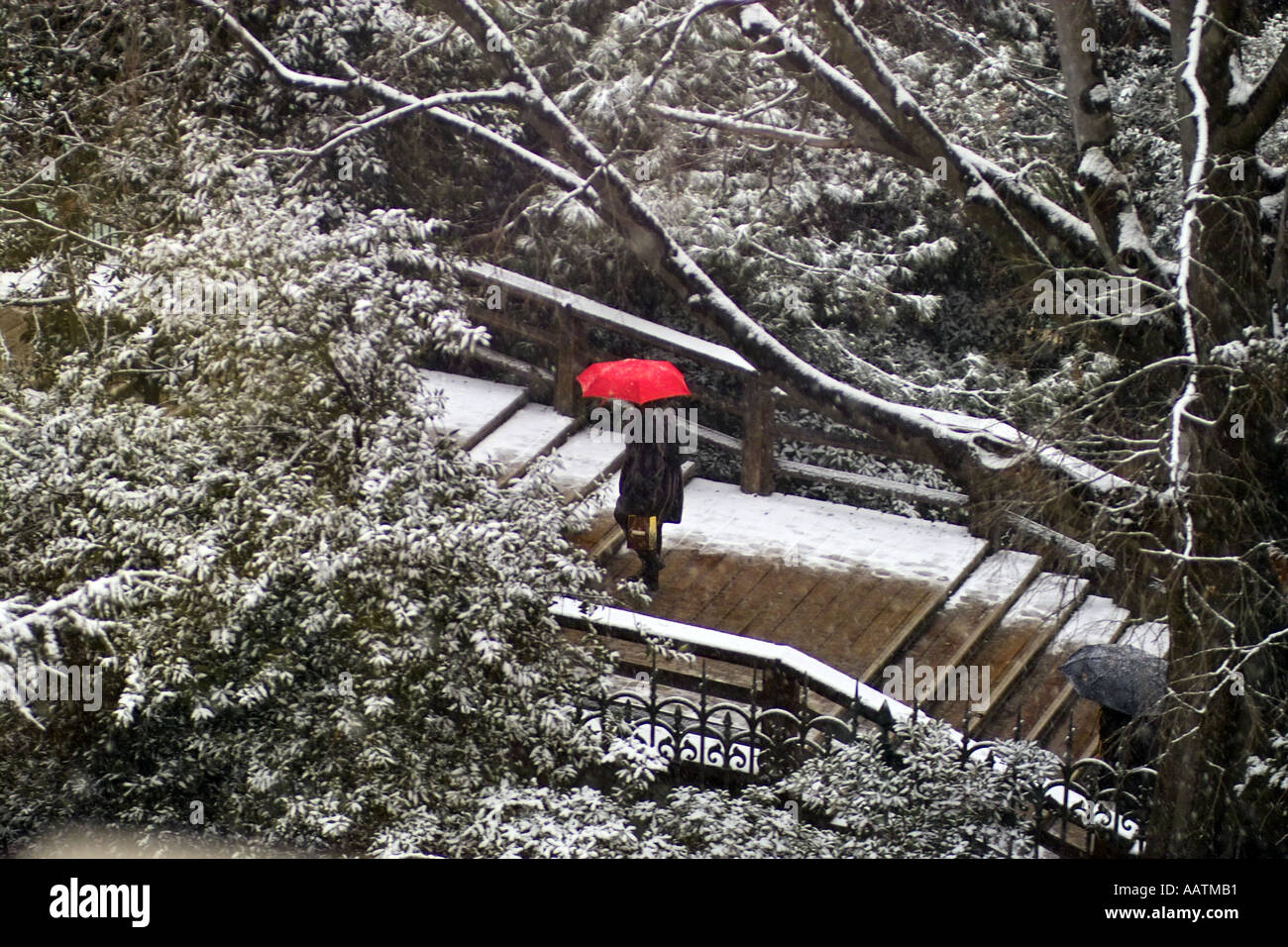 Umbrella In Snow High Resolution Stock Photography and Images - Alamy