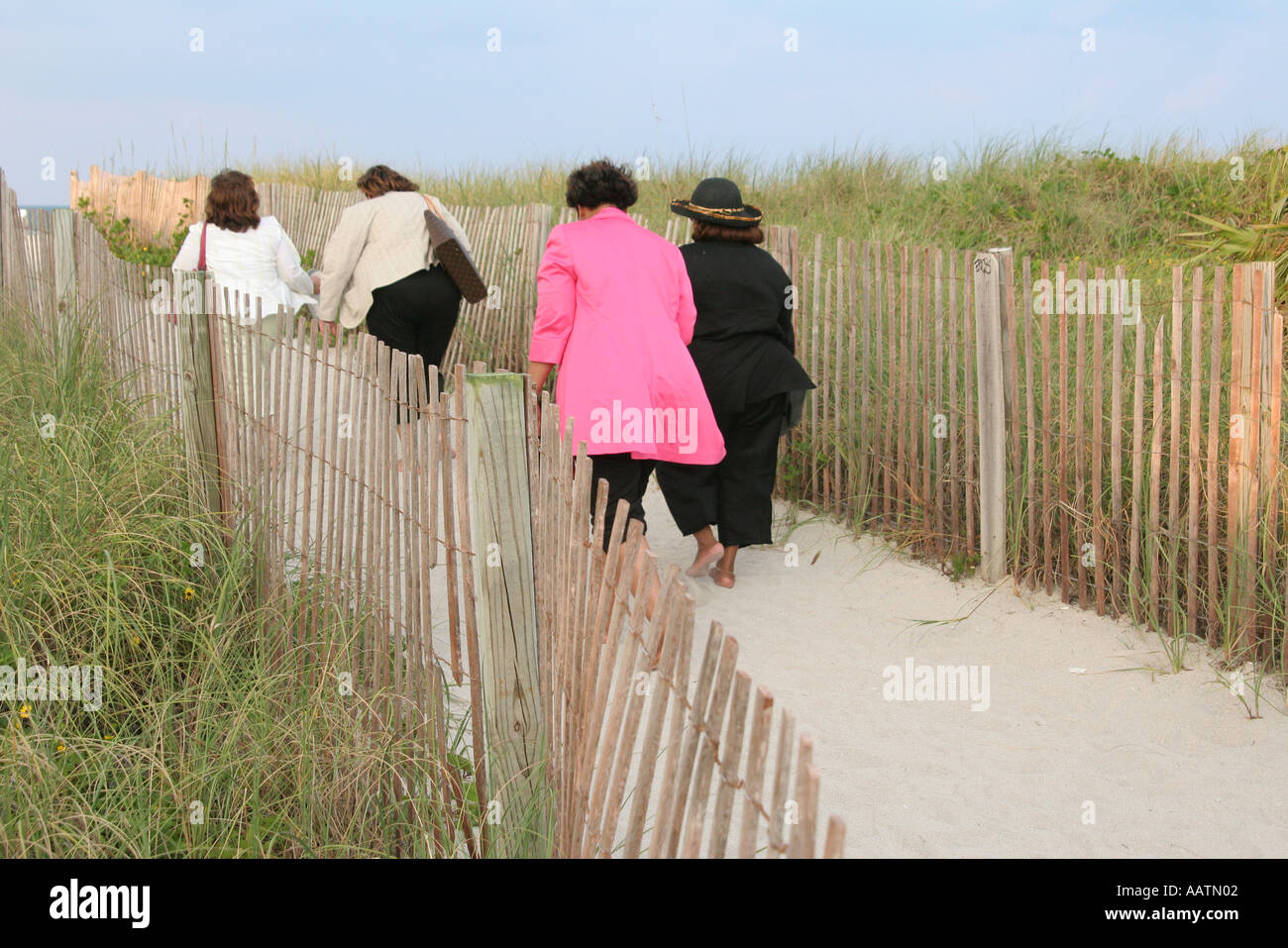 Miami Beach Florida,Atlantic Shore,public beach beaches,sand,dunes ...