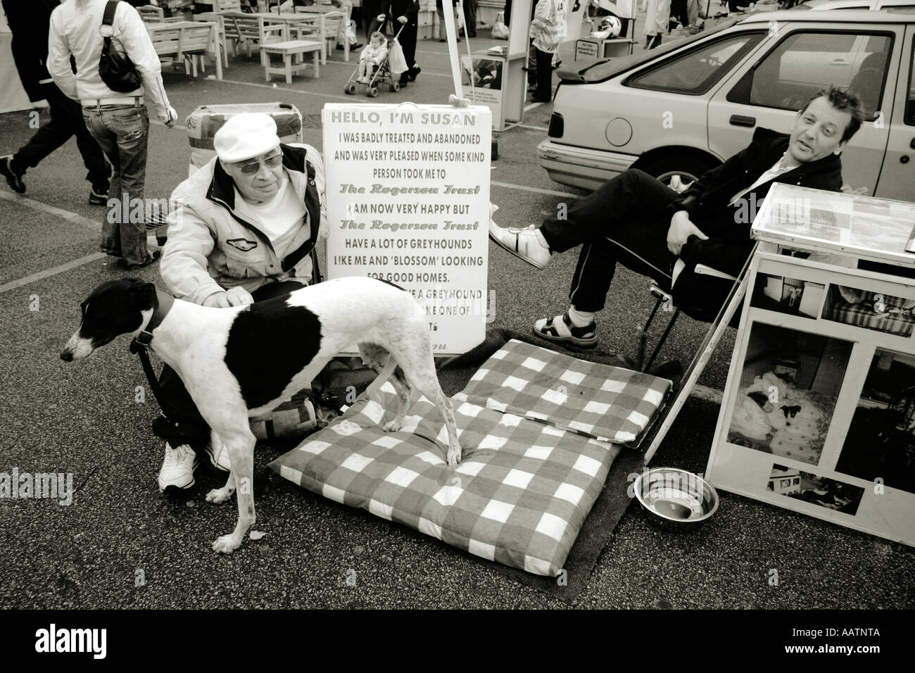 Collecting for an animal charity in a Sunday Market, Morecambe ...