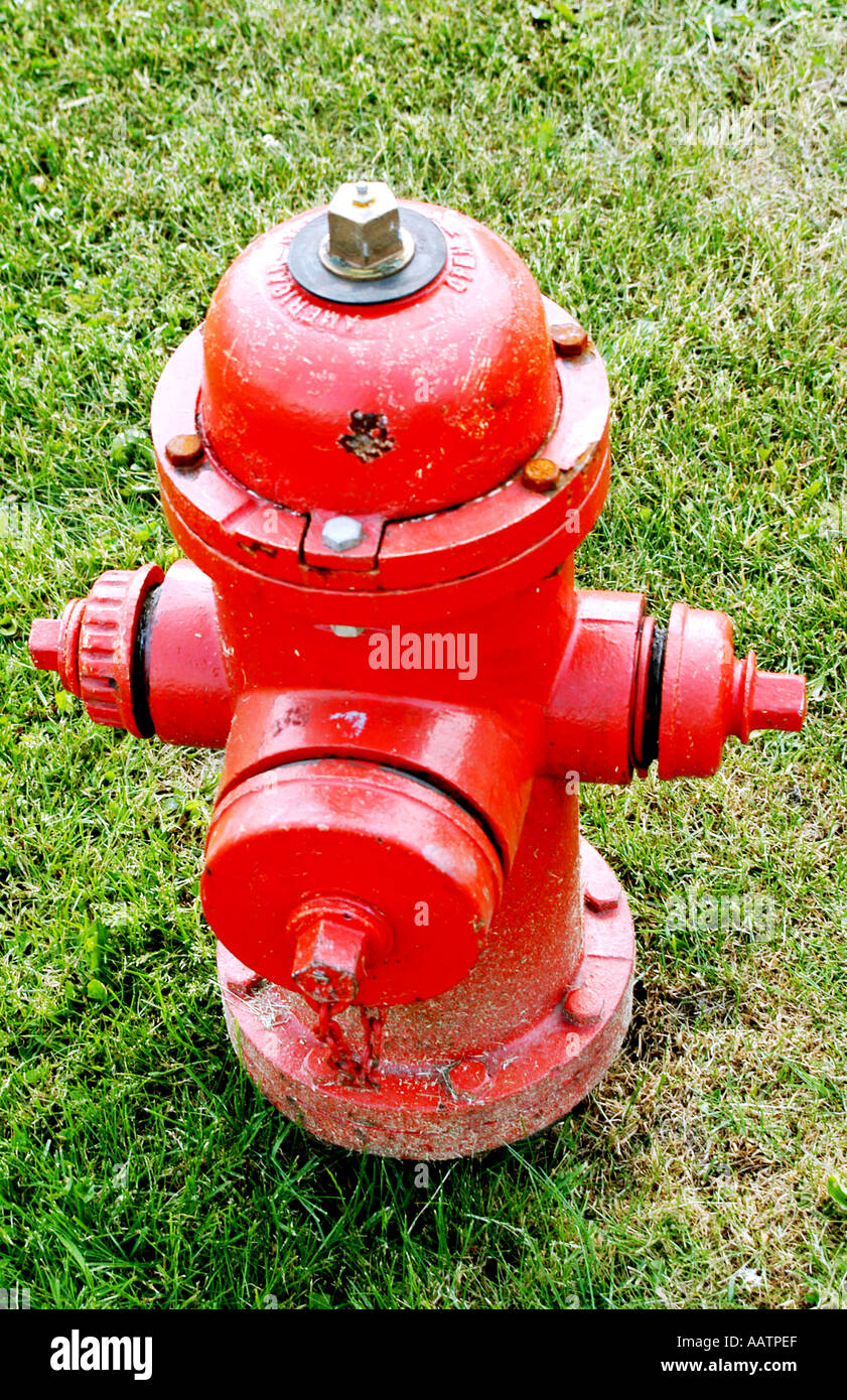 Fire Hydrant, portrait Stock Photo - Alamy
