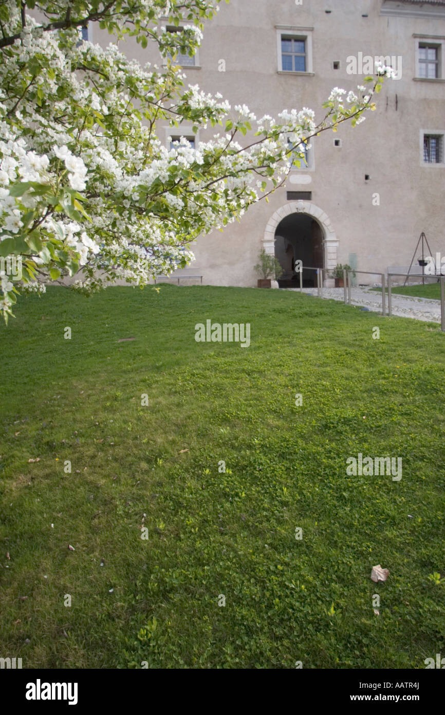 Native pear tree Schloss Goldrain also called Coldrano Castle, Alto ...