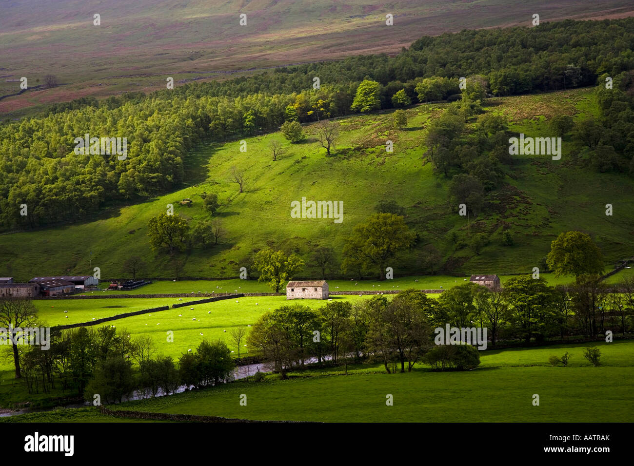 Wharfedale near Hubberholme Yorkshire Dales National Park Stock Photo ...