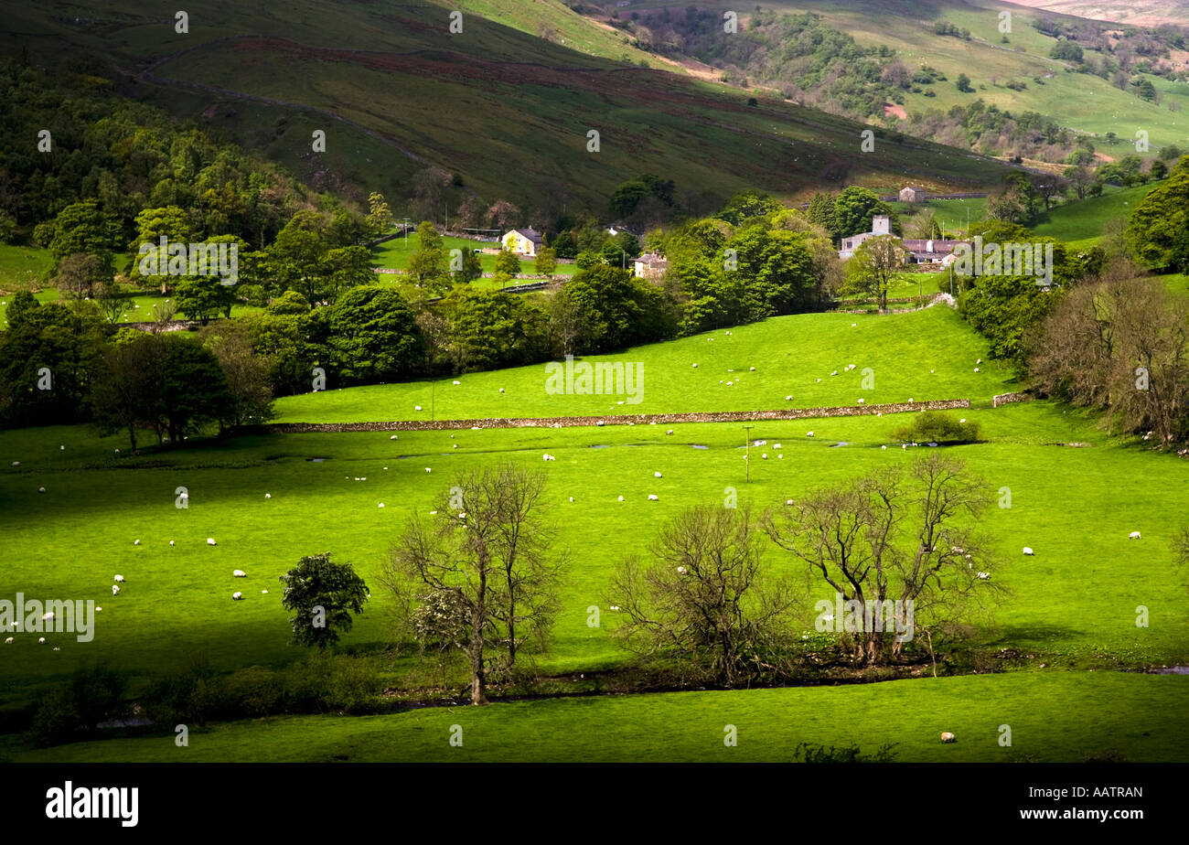 Wharfedale near Hubberholme Yorkshire Dales National Park Stock Photo ...