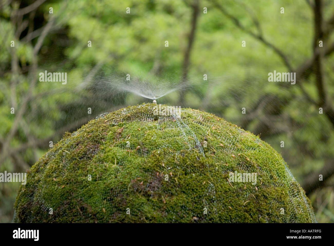 Water feature on the woodland Sissi walk in the gardens of Merano, Alto ...