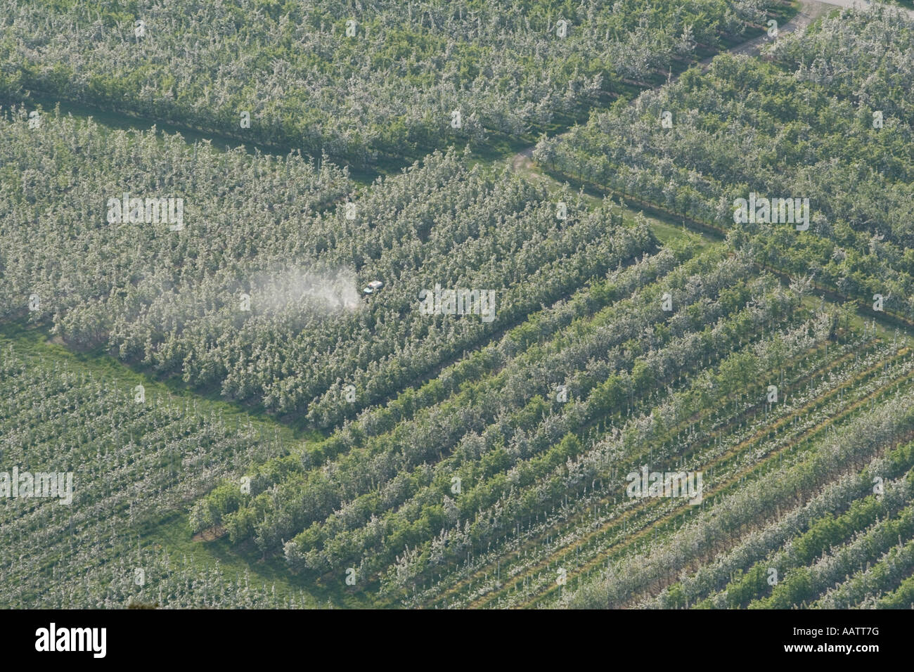 Intensively Farmed High Resolution Stock Photography and Images - Alamy