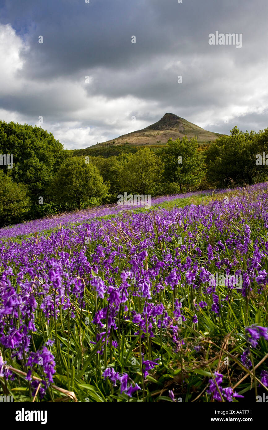 Roseberry Topping near Great Ayton North York Moors National Park ...
