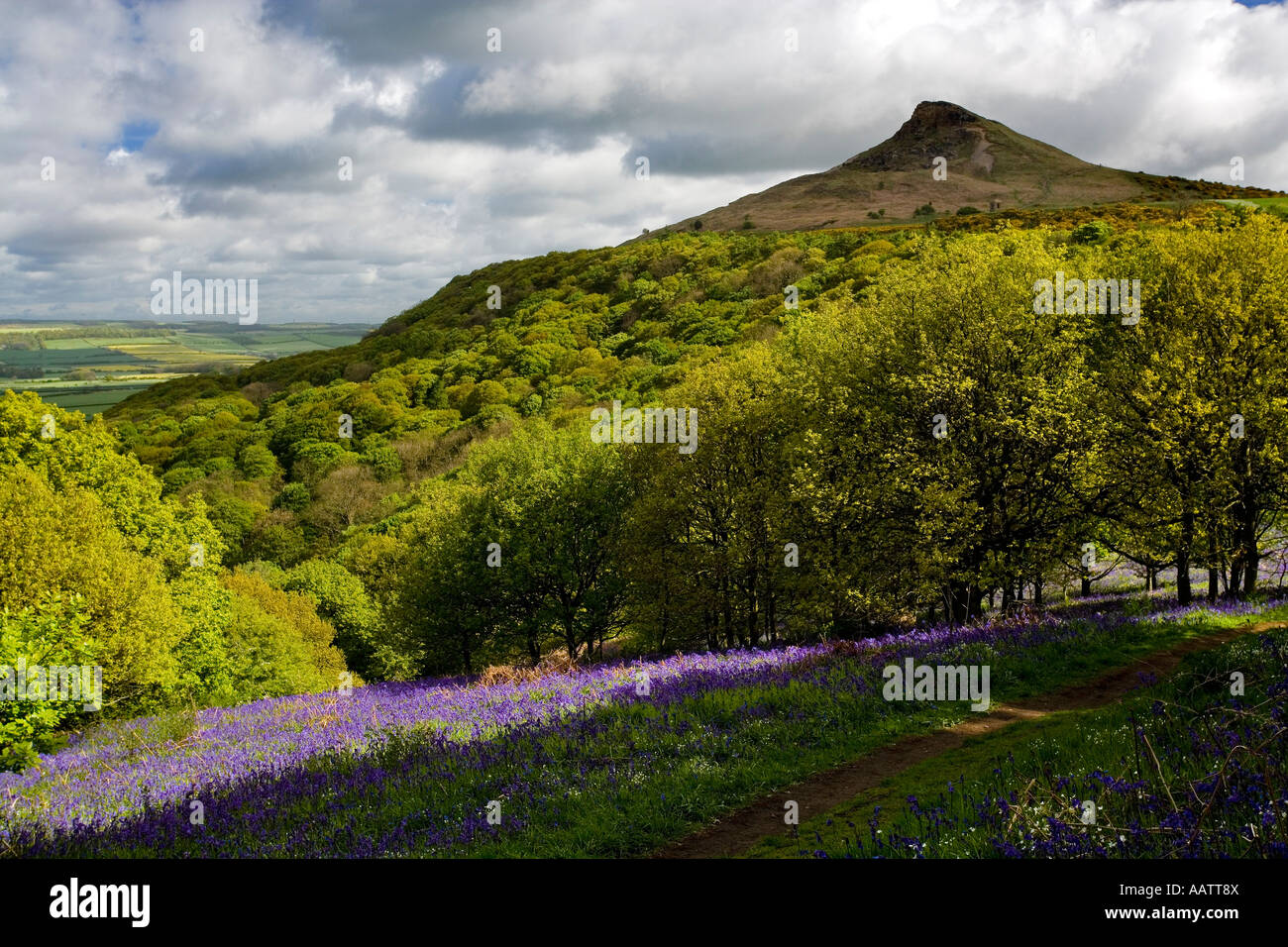 Roseberry Topping near Great Ayton North York Moors National Park ...