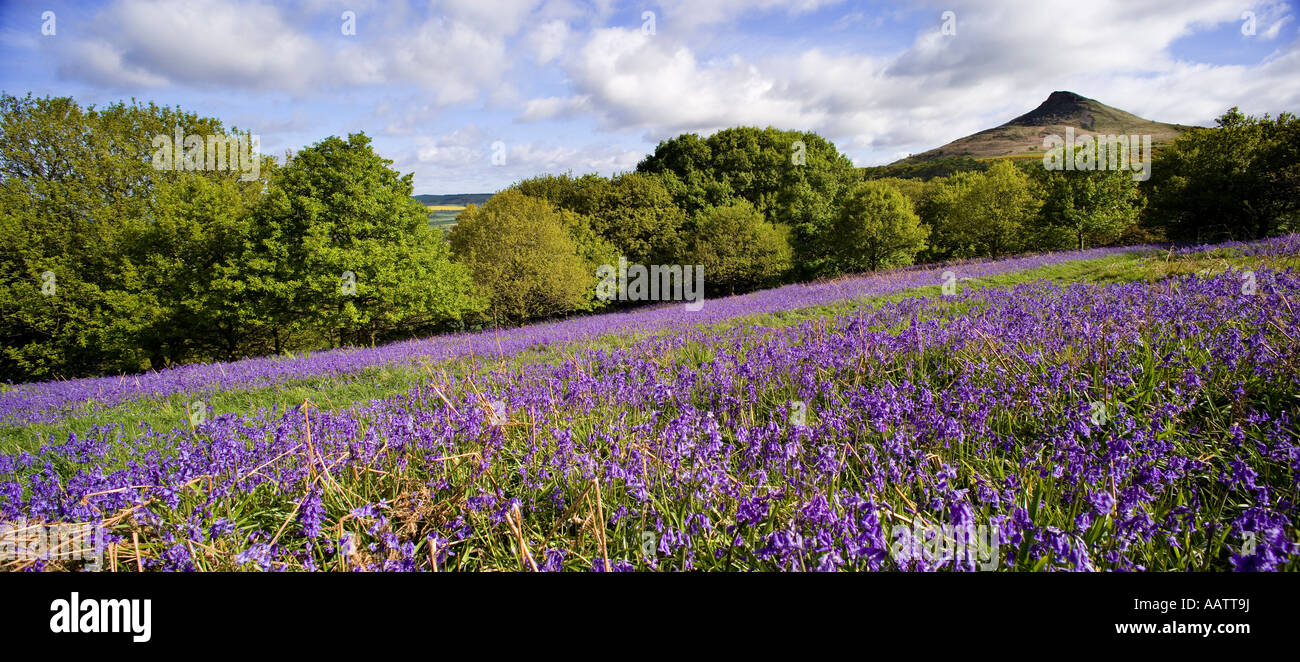 Roseberry Topping near Great Ayton North York Moors National Park ...