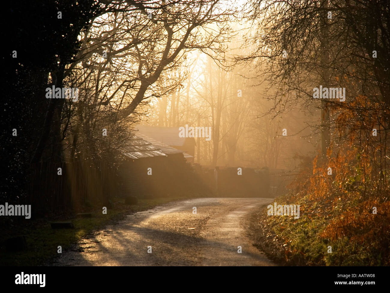 An idyllic English country scene with rays of morning light streaming ...