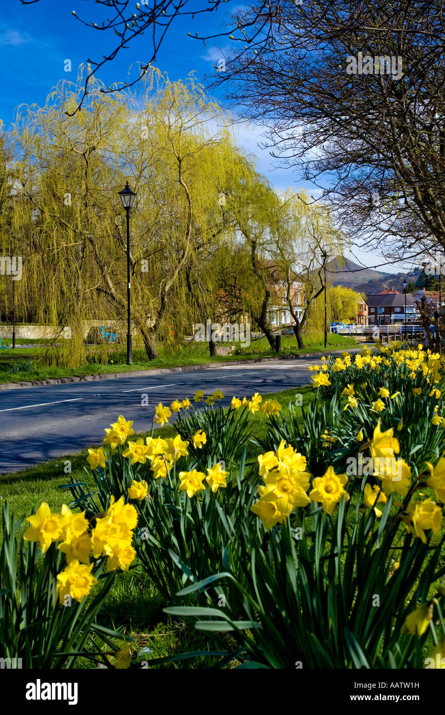 Great ayton village spring hi-res stock photography and images - Alamy