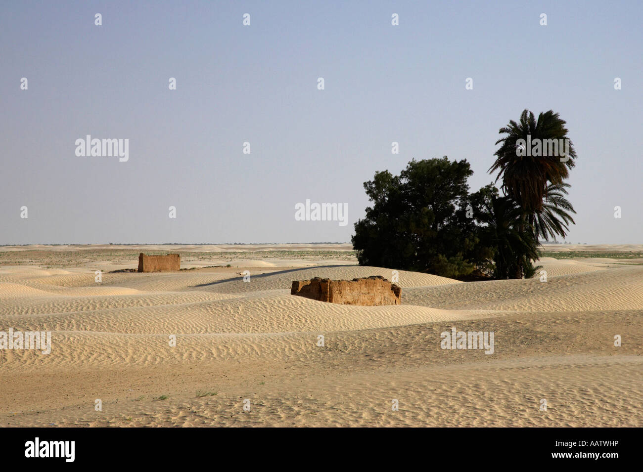 ruined abandoned buildings and small oasis in the sahara desert at Douz ...