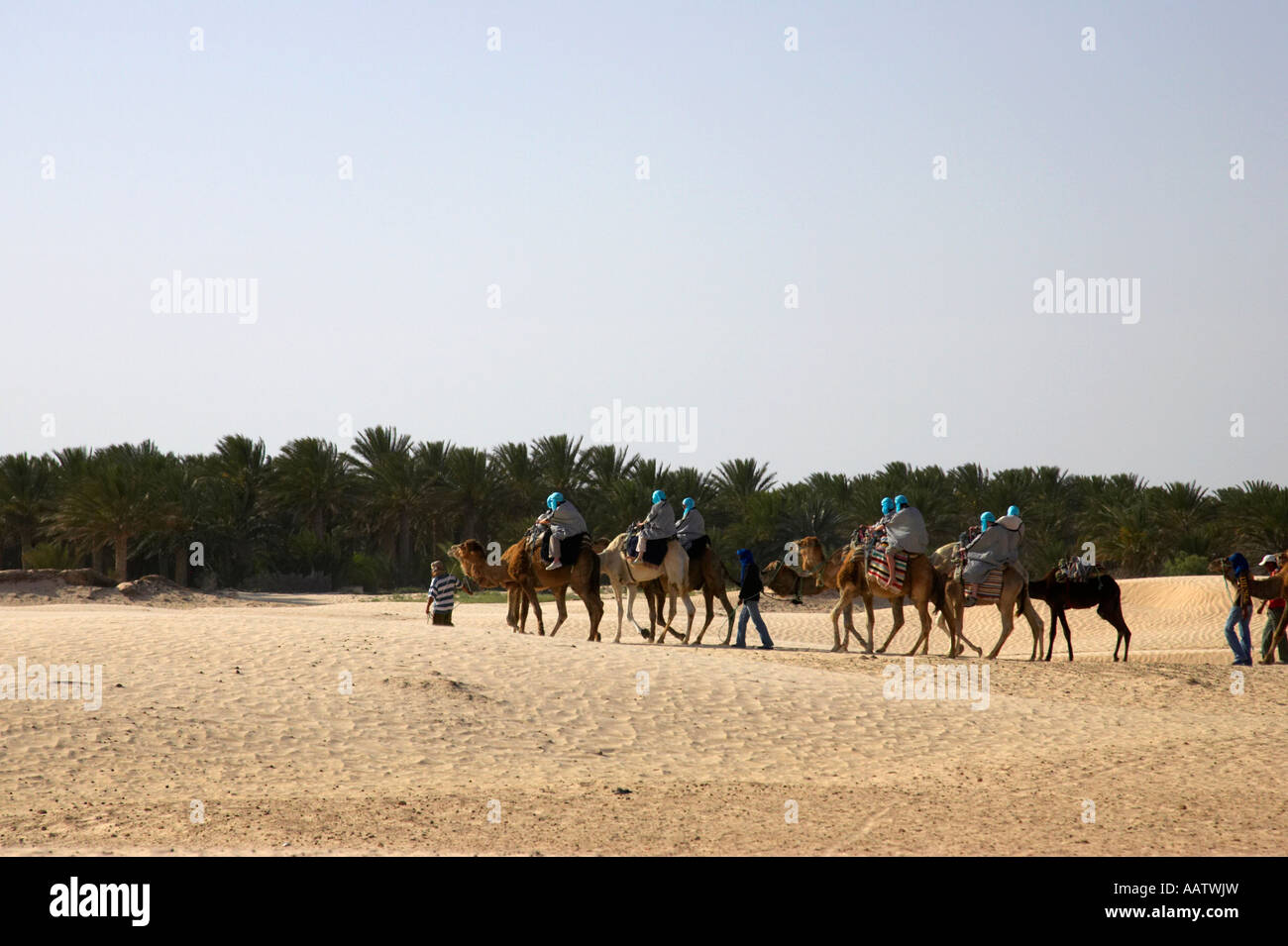 Oasis of douz tunisia hi-res stock photography and images - Alamy