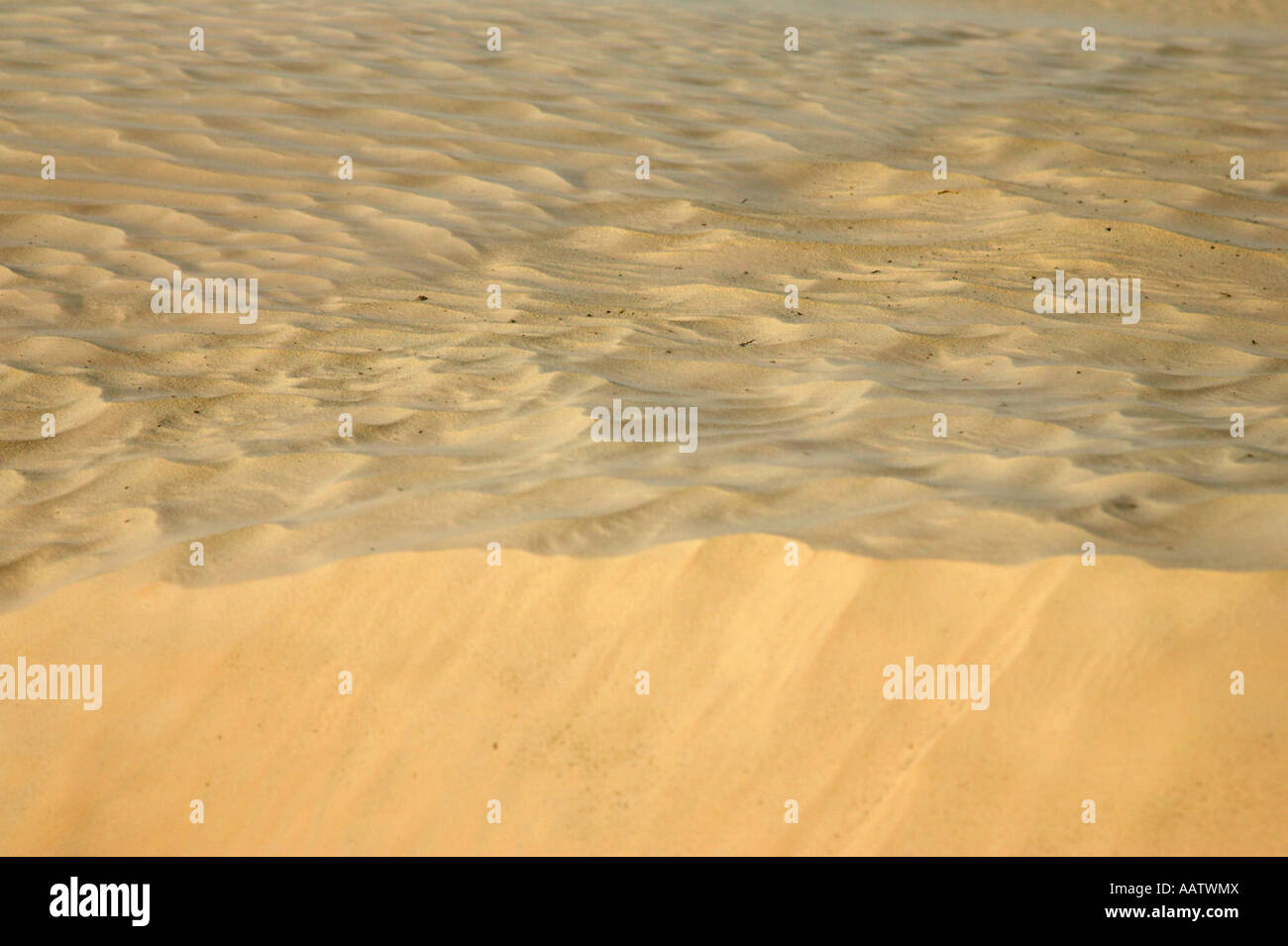 shifting sands wind blowing sand over the edge of a sand dune in the ...