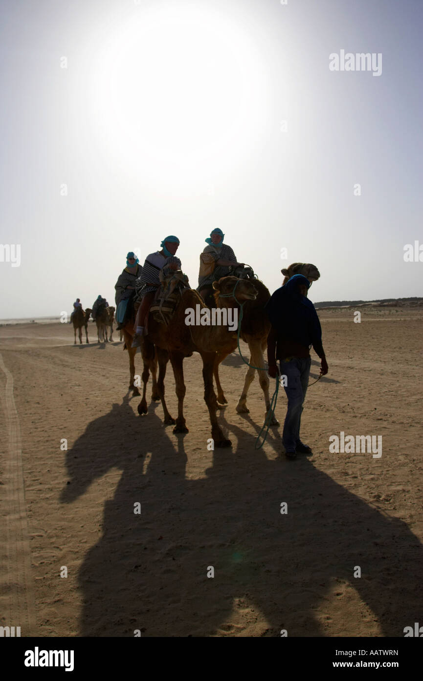 tourists on hot camel ride in the sahara desert at Douz Tunisia Stock ...