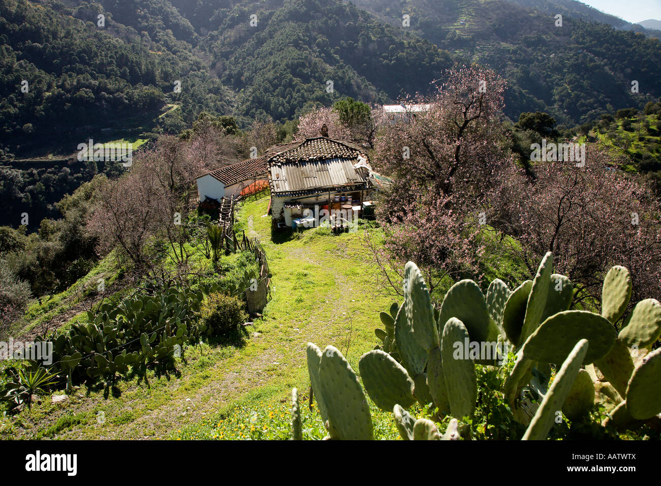 Farmhouse near Jubrique a Hill Village in Andalucia Spain Stock Photo ...