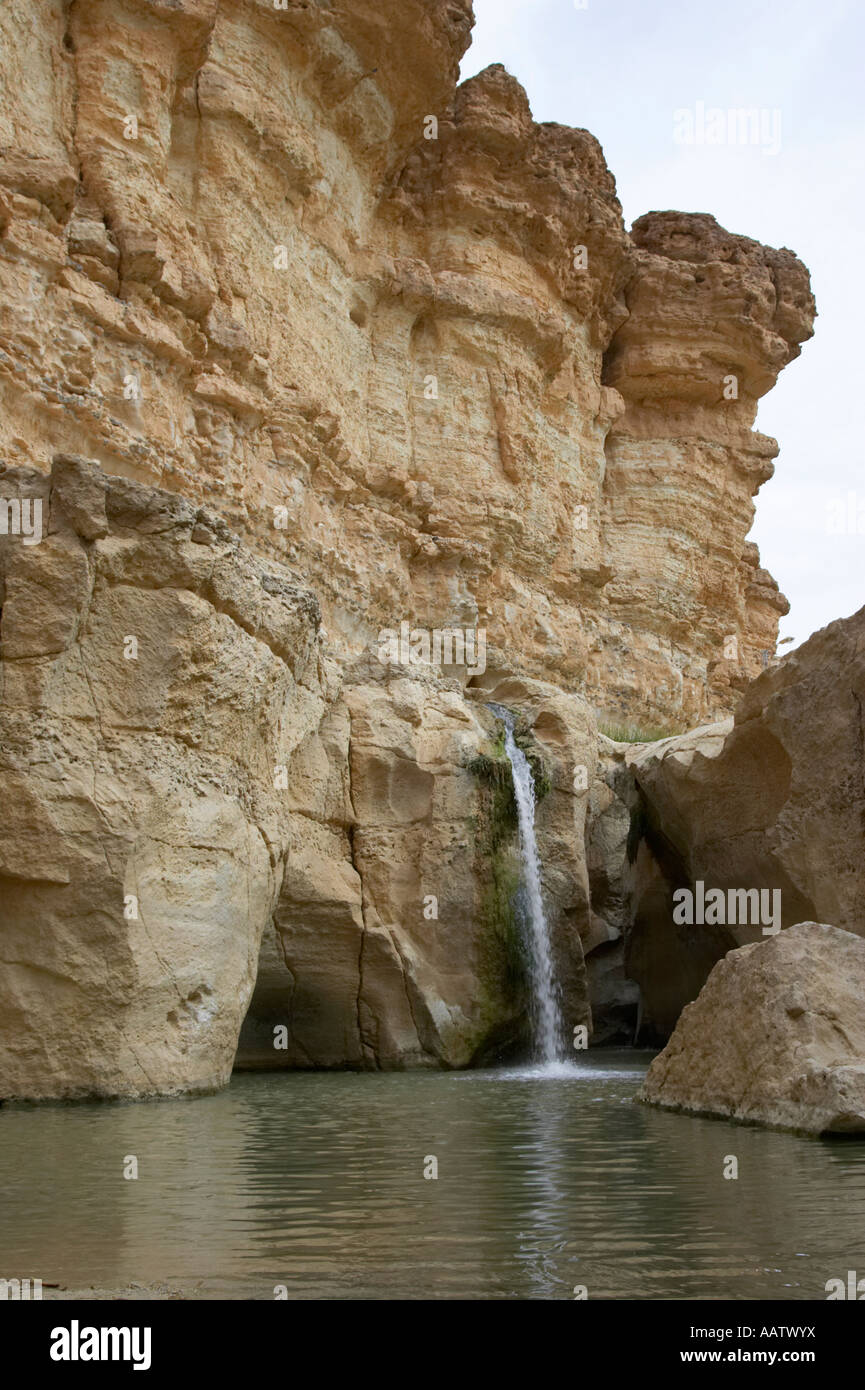 the Great Waterfall in the canyon at tamerza oasis in the mountains ...